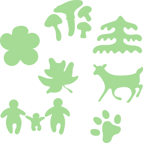 Mini Forests